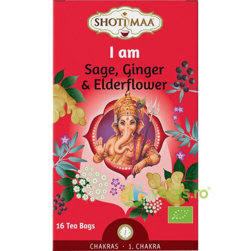 Ceai cu Salvie, Ghimbir si Soc I Am Chakras Ecologic/Bio 16dz | Pepita.com