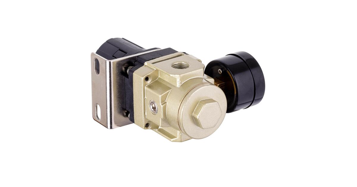 Ar3000-02 Reductor de presiune aer 1/4 cu manometru | Pepita.com