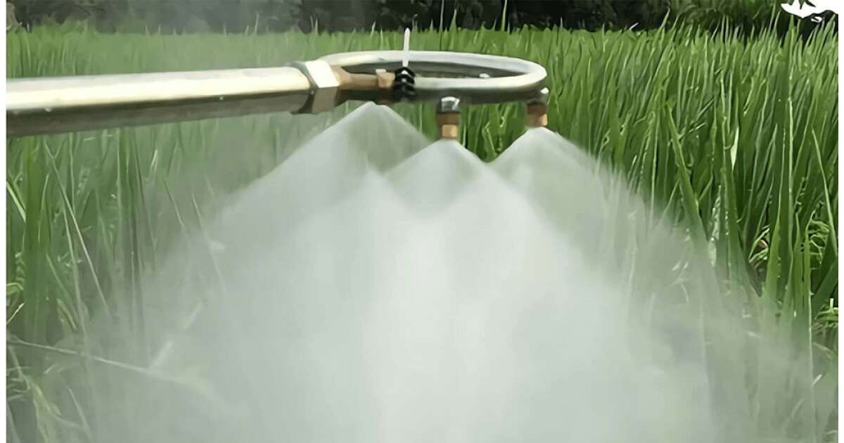 Multifunkciós Permetező és Locsoló Fej | Pepita.hu