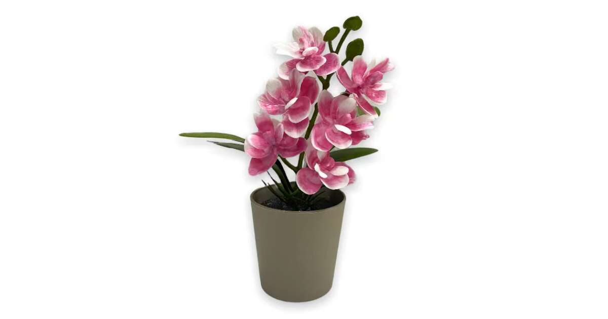 Orchidea mini 17 cm | Pepita.hu