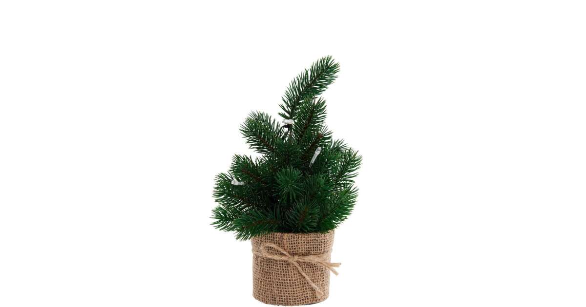 TREE OF THE MONTH mini fenyő LED világítással | Pepita.hu