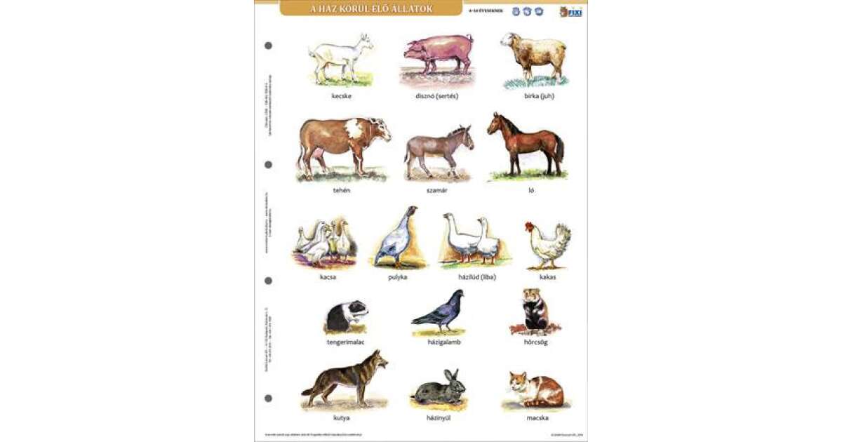 Fișă de lucru imprimabilă pentru elevi cu animale sălbatice+foaie de ...