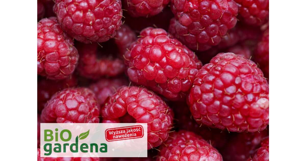 BiOgardena GYÜMÖLCSÖK, ZÖLDSÉGEK ÉS DÍSZNÖVÉNYEK Tápanyaga 8kg | Pepita.hu