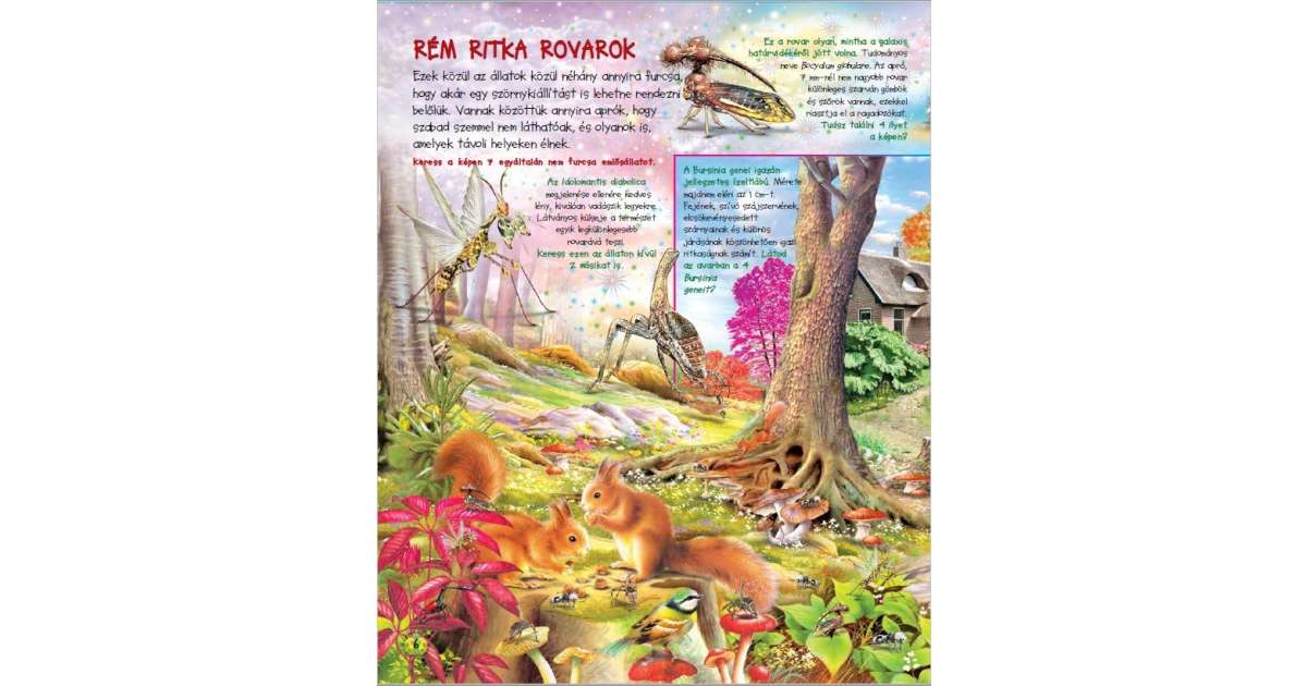 Napraforgó Keresd meg a különleges állatokat | Pepita.hu