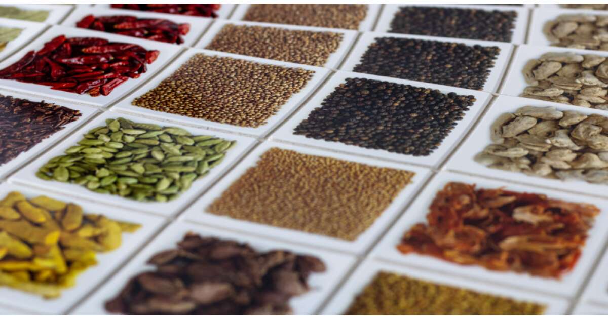 3D PVC falpanel Világ fűszerei mintás csomag (10 db + 3 db T-REX ...