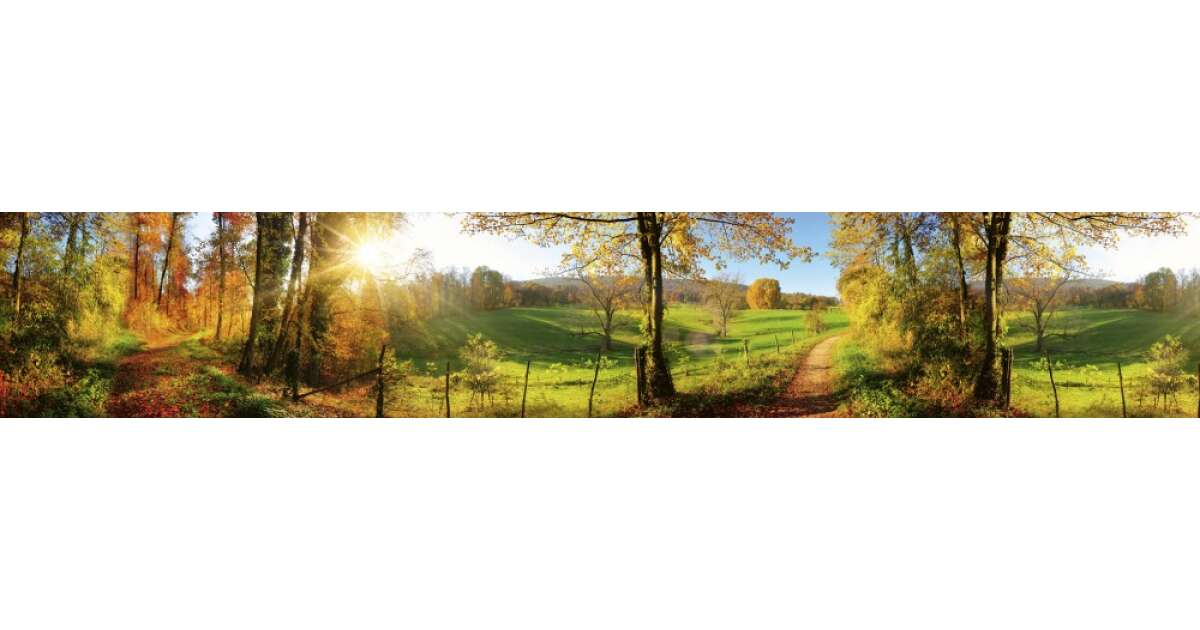 Napfényes erdei út, konyhai matrica hátfal, 350 cm | Pepita.hu