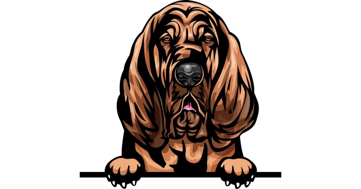 Angol Véreb rajzos autómatrica | Pepita.hu