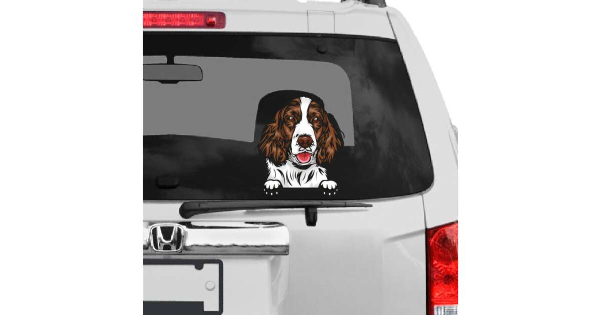 Angol Springer Spániel rajzos autómatrica | Pepita.hu