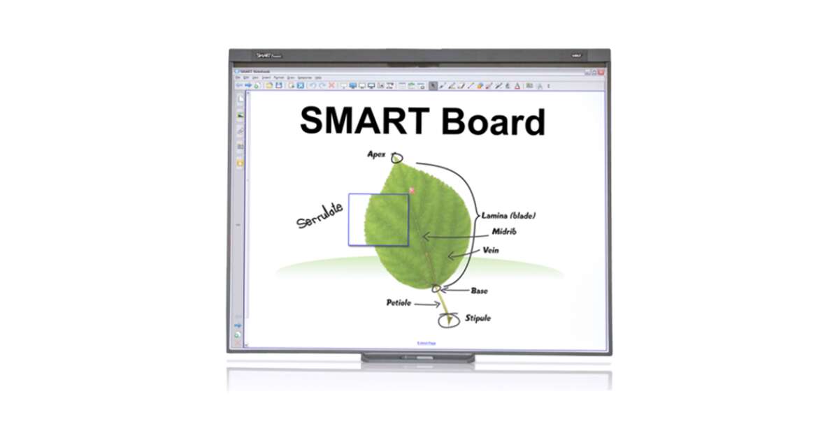 SMART Interaktív tábla, 77, 4:3, SMART SB480 | Pepita.hu