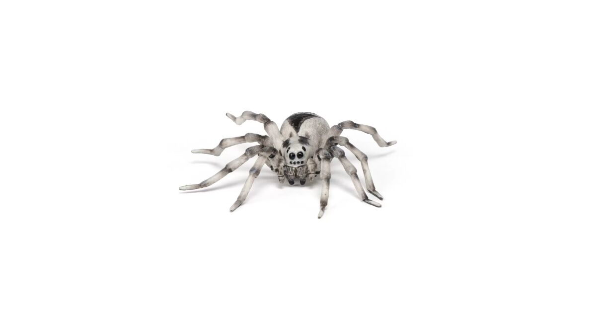 Papo Tarantula Figure CHAT | Pepita.com