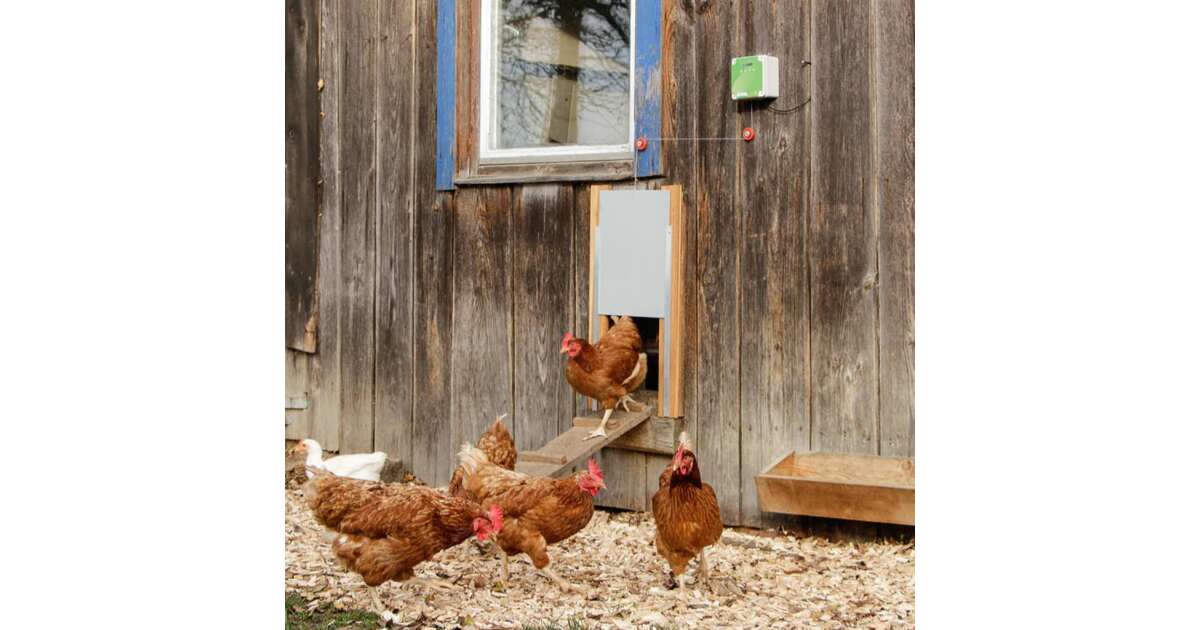 Kerbl tyúkól tolóajtó 43 x 40 cm | Pepita.hu