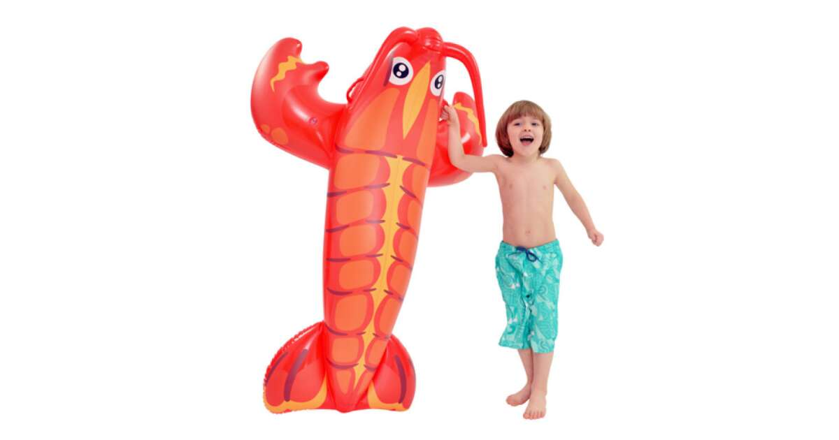 Homár strandmatrac - 130 x 70 cm 62658583