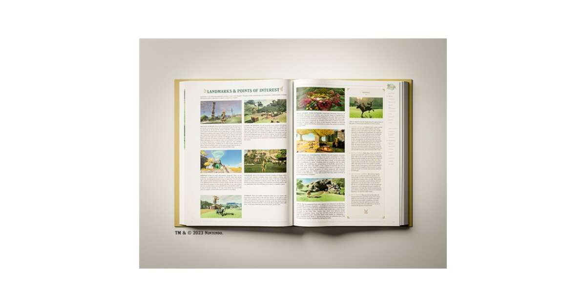 The Legend of Zelda™: Tears of the Kingdom - The Complete Official Guide Standard Edition ...