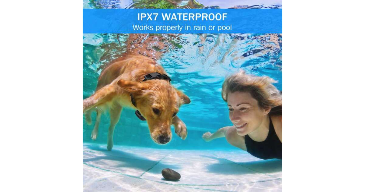 Patpet T700 távirányítós elektromos kiképző nyakörv szett 600m ...