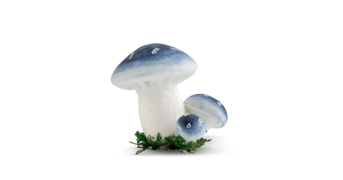 Decoratiuni de gradina - ciuperci - 6 cm - 3 tipuri | Pepita.com