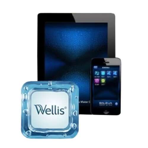 Wellis Smartphone Alkalmazás masszázsmedencéhez | Pepita.hu