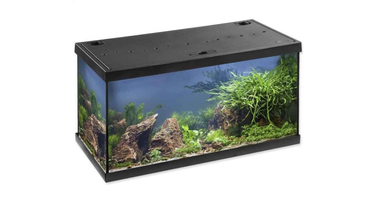 Eheim AquaStar 60 LED Akvárium - 54 liter | Pepita.hu