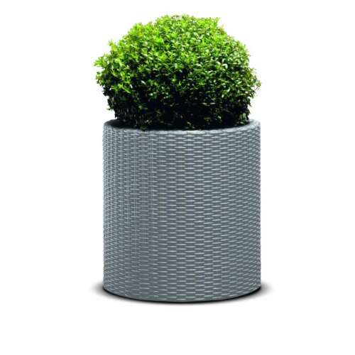 KETER SMALL CYLINDER PLANTER MŰANYAG VIRÁGLÁDA | Pepita.hu | Pepita.com