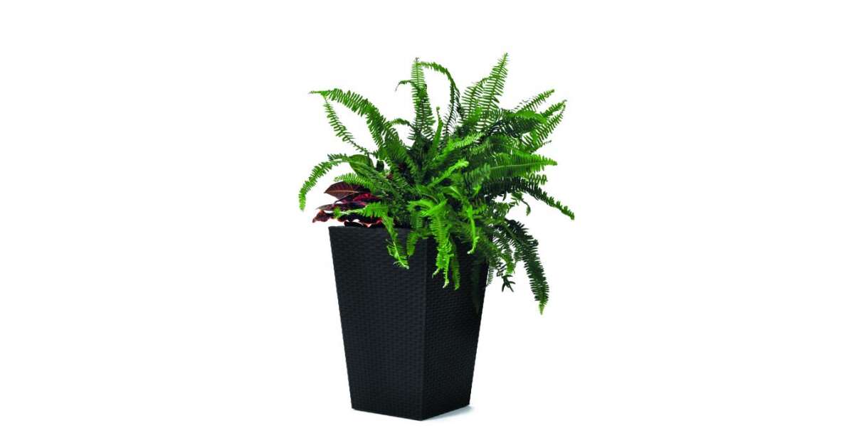 KETER RATTAN PLANTER S ARTIFICIAL RATTAN PLANTER 23,6L | Pepita.com