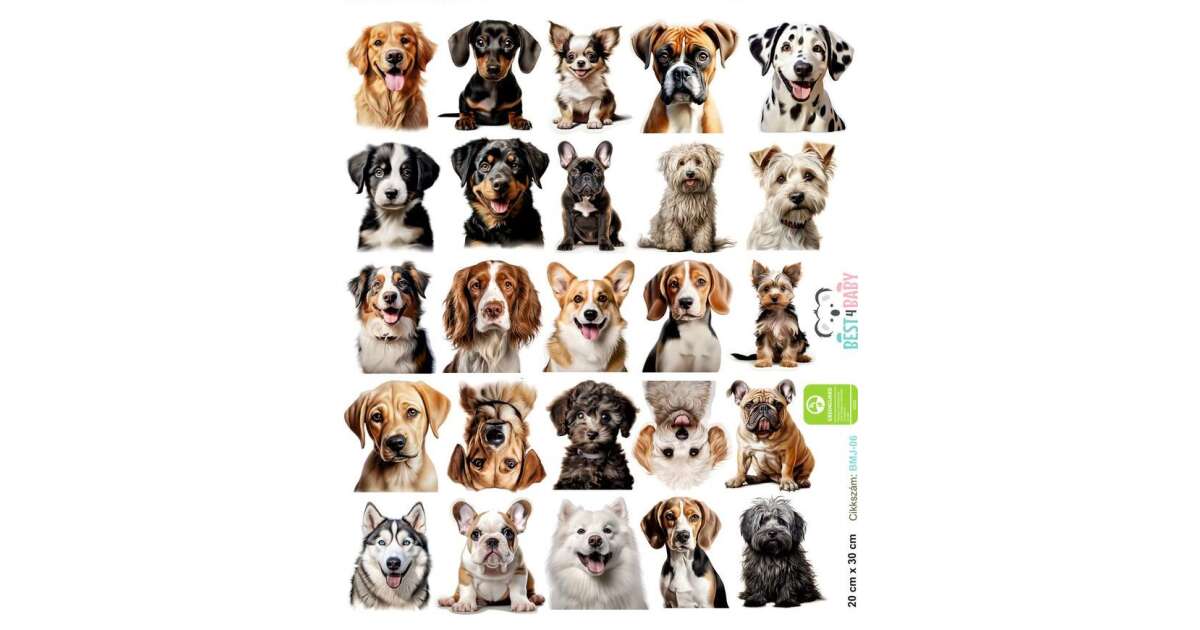 Kutyás gyerek kerékpár matrica, fotó hatású| 26 cm x 30 cm - Best4Baby ...