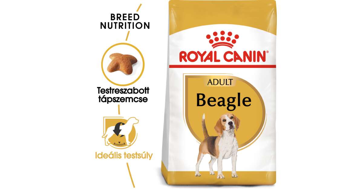 Royal Canin Beagle Adult - Beagle felnőtt kutya száraz táp 3kg | Pepita.hu
