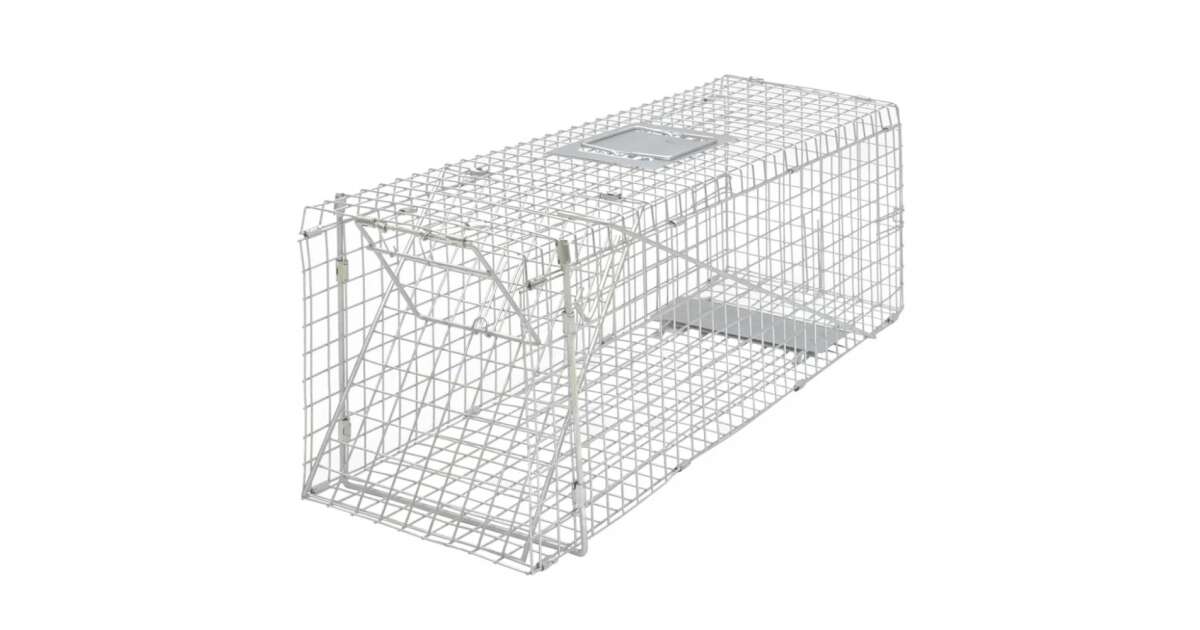 Horganyzott csapda 80 cm | Pepita.hu